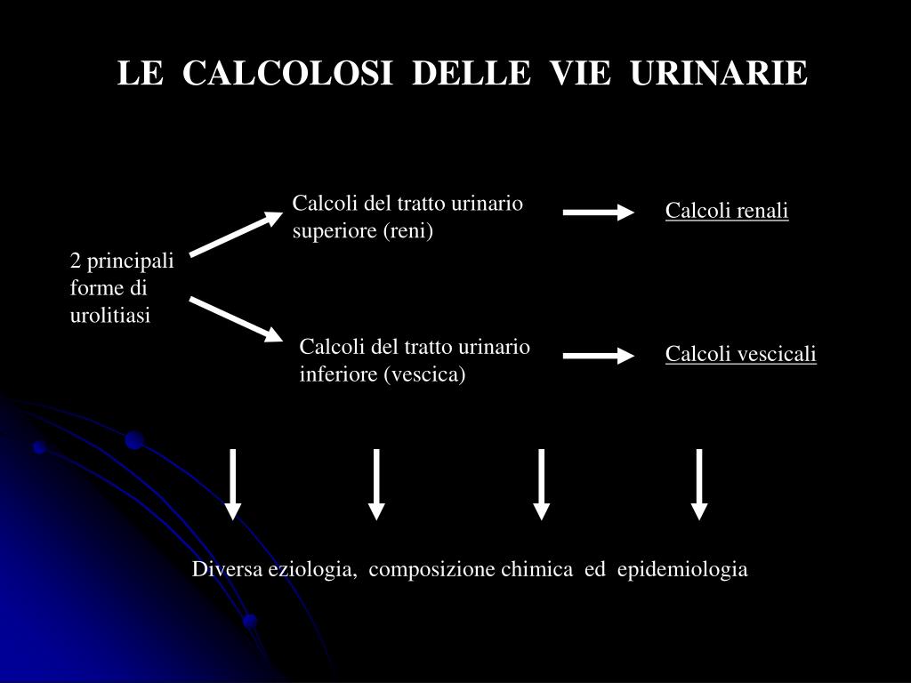 PPT - Il calcolo vescicale gigante di Borgo Cerreto di Spoleto ...