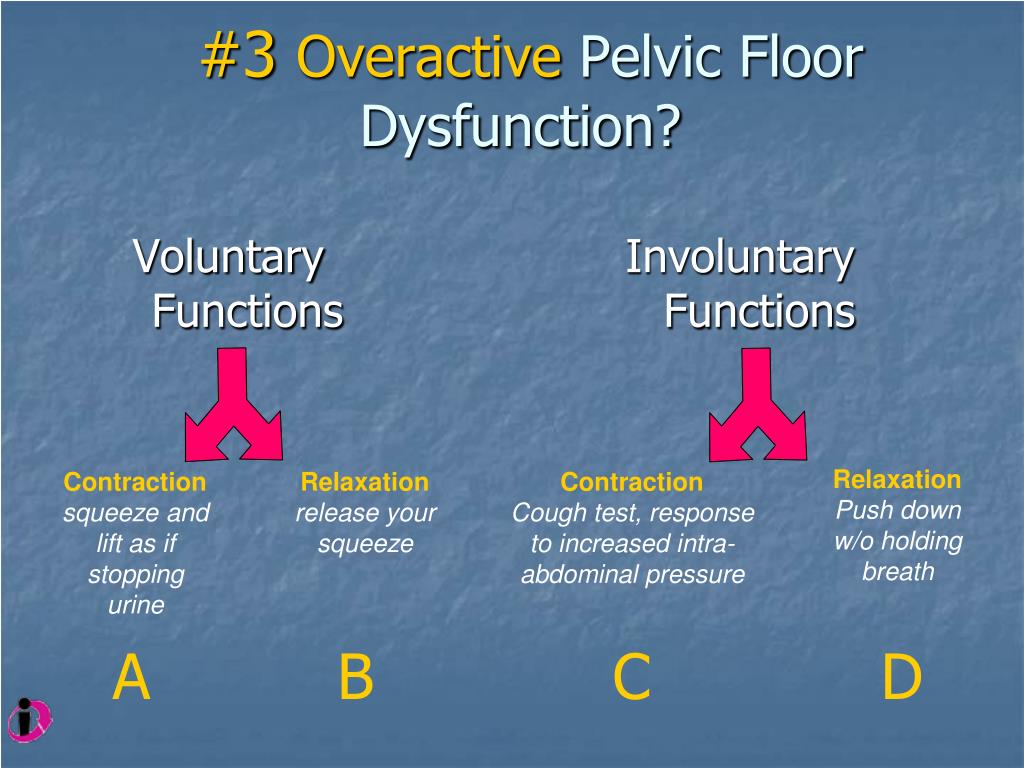 PPT - Physical Therapy Management of Dysmenorrhea and Dyspareunia: A ...