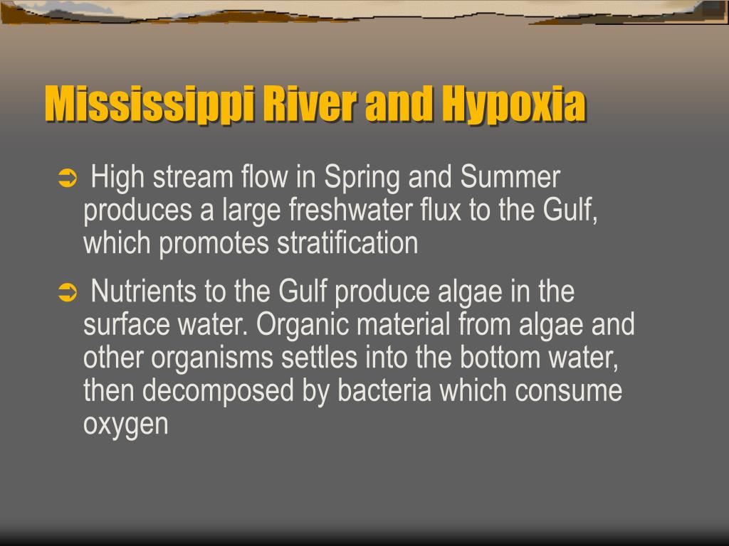 PPT - Hypoxia in the Gulf of Mexico PowerPoint Presentation, free ...