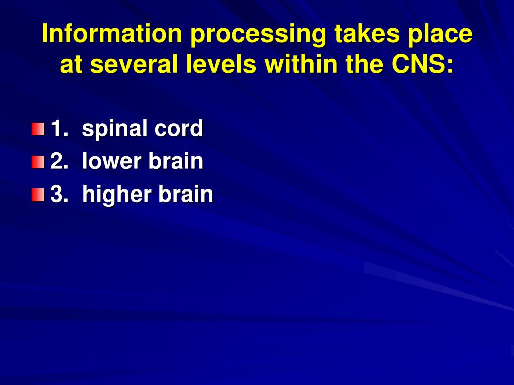 Ppt The Brain And Cranial Nerves Handout 7 Functions Of Gray Matter And Handout 8 Cranial