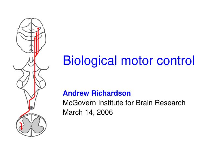 PPT - Biological motor control PowerPoint Presentation, free download ...