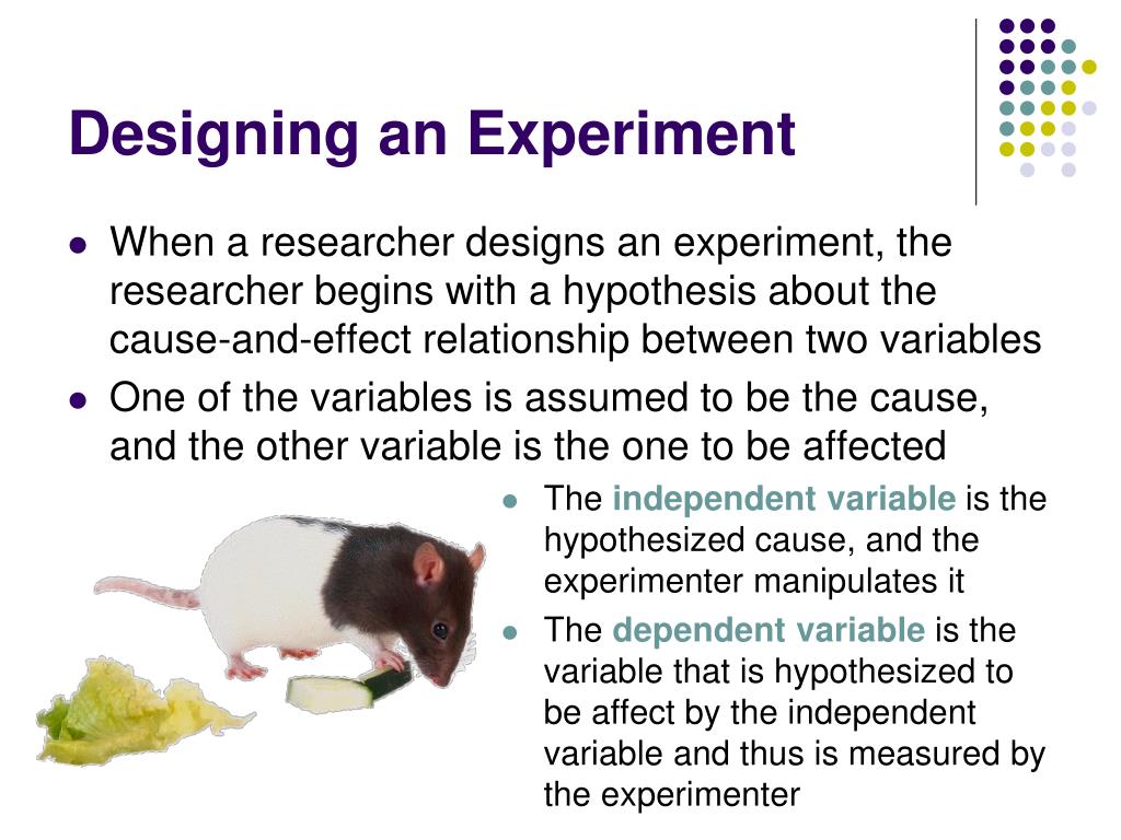 PPT - The Science of Psychology PowerPoint Presentation, free download ...
