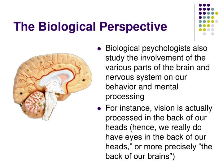PPT - The Science of Psychology PowerPoint Presentation - ID:367371