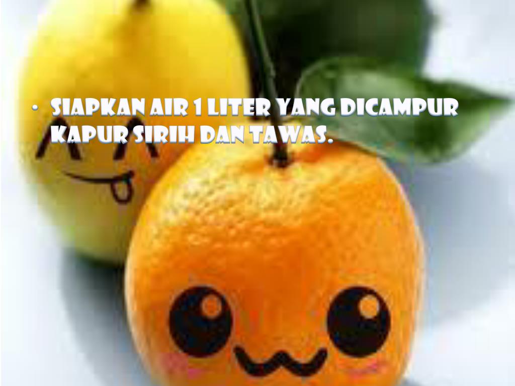 PPT - Cara Membuat Manisan Kulit Jeruk PowerPoint Presentation, free ...