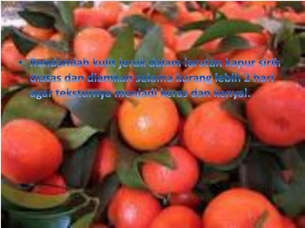 PPT - Cara Membuat Manisan Kulit Jeruk PowerPoint Presentation, free ...