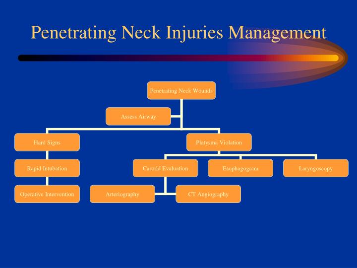 PPT - Penetrating Neck Injuries: Mandatory Exploration vs. Nonoperative ...