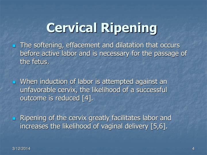 PPT - SAFETY AND EFFICACY OF MISOPROSTOL AND DINOPROSTONE AS CERVICAL ...