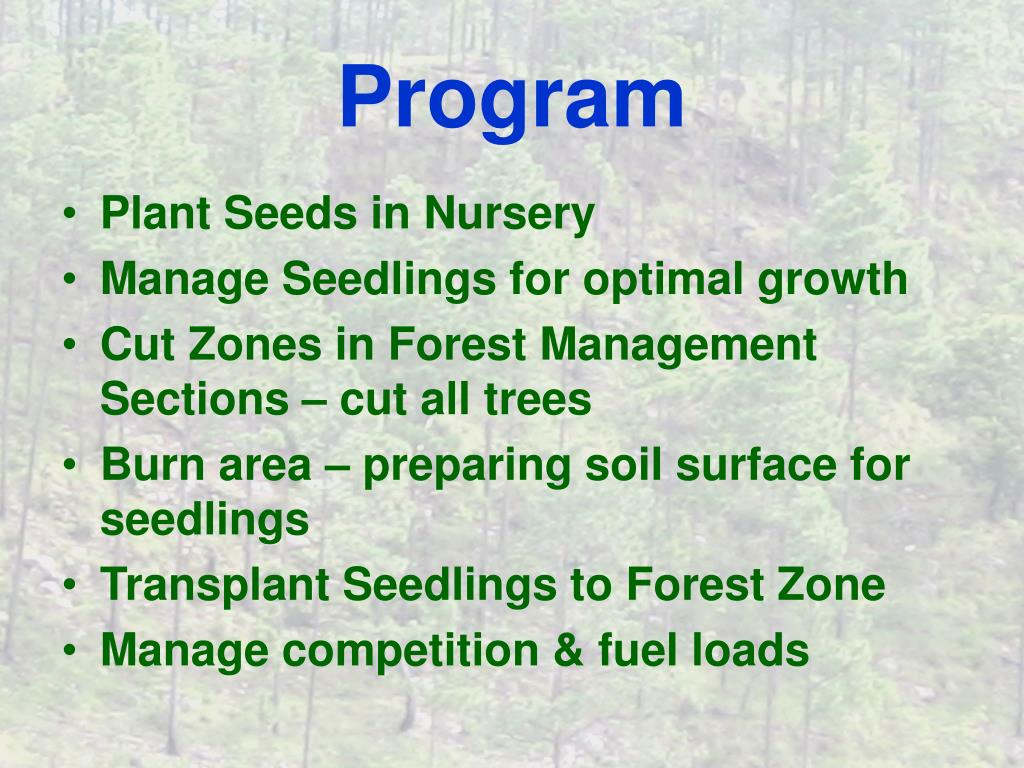 PPT - Scientific Forest Management by Richard Latty Caswell Forest ...