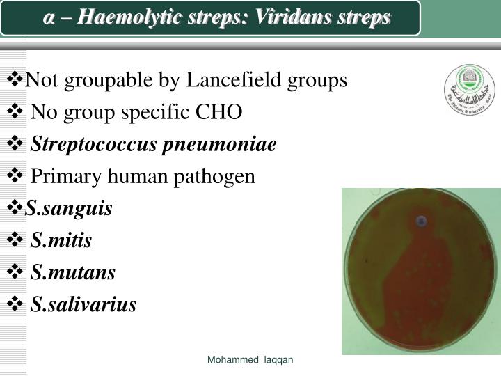 PPT - Isolation and Identification of Gram Positive Cocci PowerPoint ...