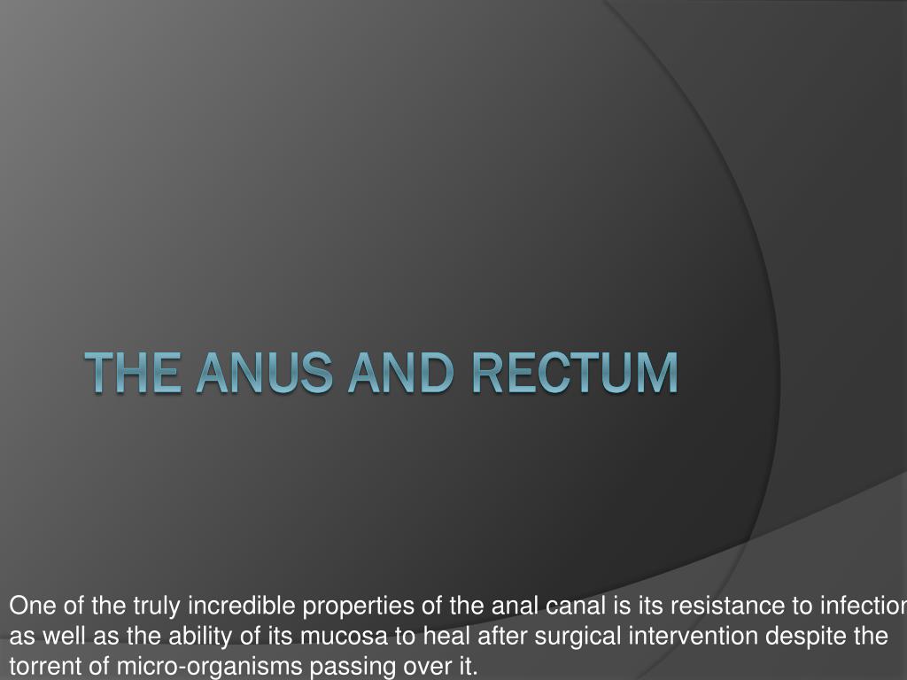 Ppt The Anus And Rectum Powerpoint Presentation Free Download Id