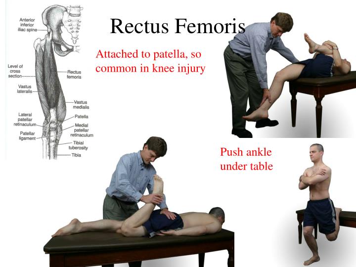 PPT - Modified Thomas Test PowerPoint Presentation - ID:370158