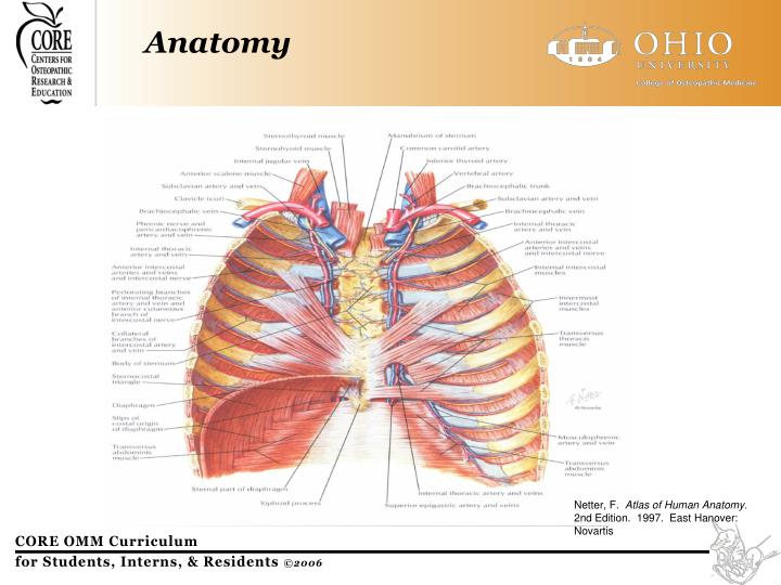PPT - Costochondritis PowerPoint Presentation - ID:371208