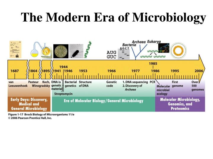 PPT - Chapter 1 Microorganisms and Microbiology PowerPoint Presentation ...