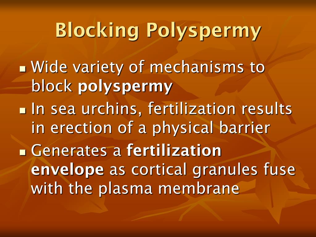 Ppt Early Development Powerpoint Presentation Id 371787