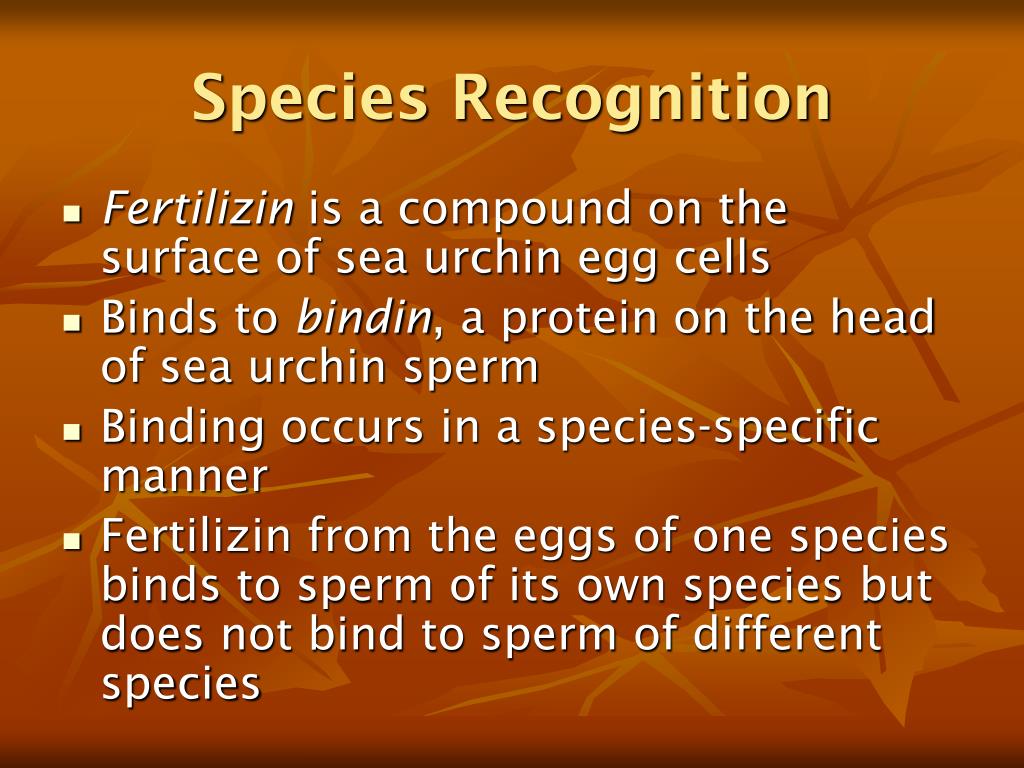 Ppt Early Development Powerpoint Presentation Id 371787