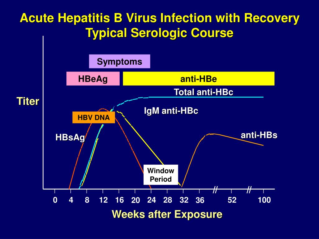 Anti Hbc B8bney