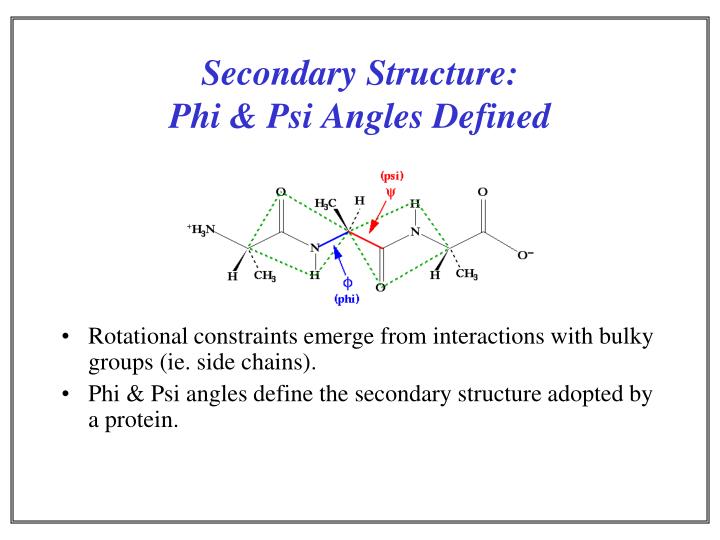 PPT - Principles of Protein Structure PowerPoint Presentation - ID:373389