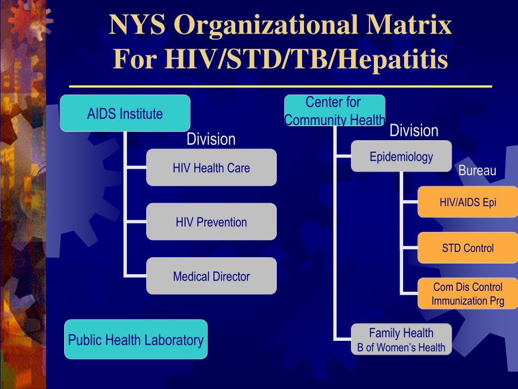 PPT - Integration of HIV/AIDS, STD, TB and Viral Hepatitis New York ... PPT - Integration of HIV/AIDS, STD, TB and Viral Hepatitis New York ...