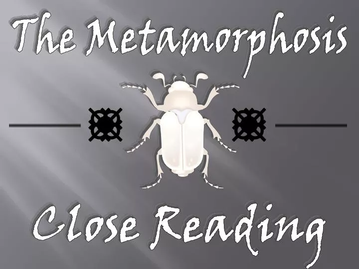 PPT - The Metamorphosis PowerPoint Presentation, free download - ID:373846