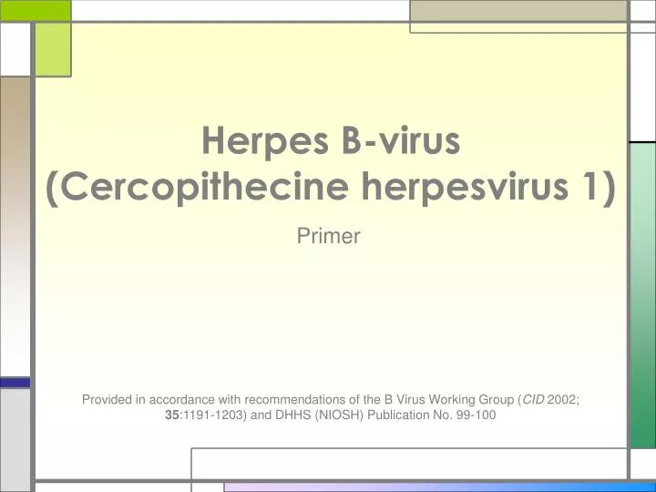 PPT - Herpes B-virus (Cercopithecine herpesvirus 1) PowerPoint Presentation - ID:374283