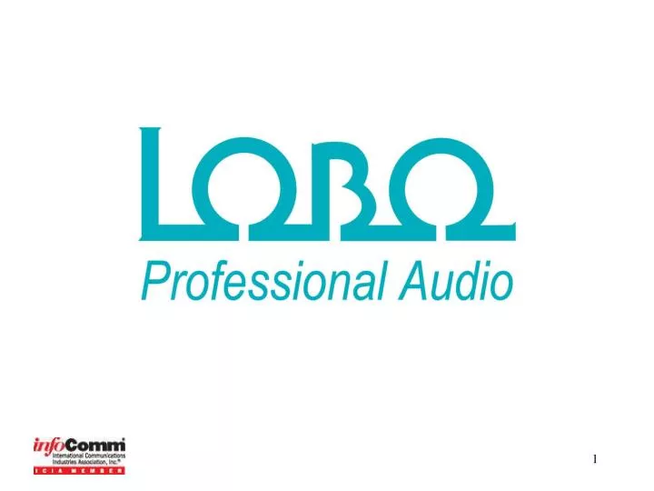 PPT - LOBO TRANDUCERS PowerPoint Presentation, free download - ID:37458