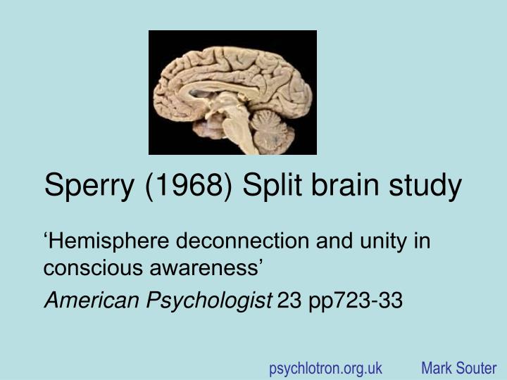 PPT - Sperry (1968) Split brain study PowerPoint Presentation, free ...