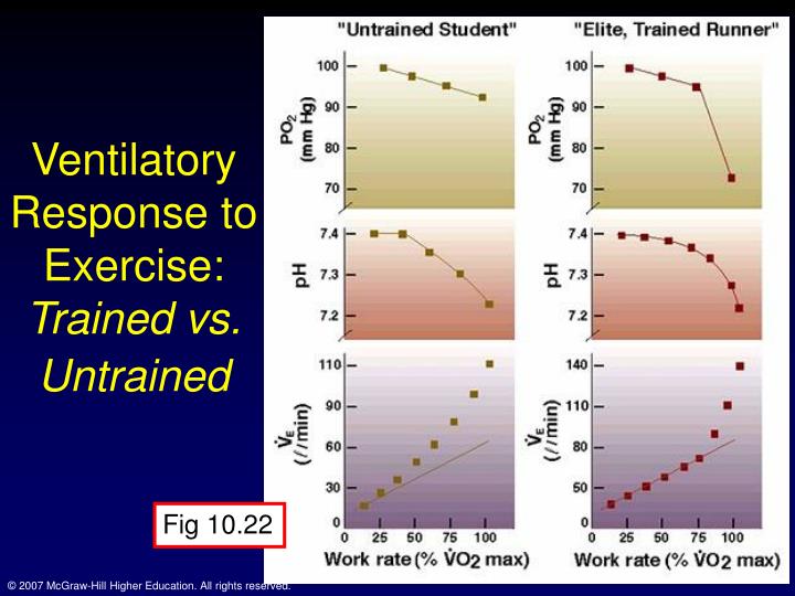 PPT - Chapter 10 Respiration During Exercise PowerPoint Presentation ...