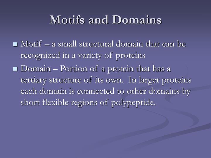 PPT - Protein Structure Basics PowerPoint Presentation - ID:375104