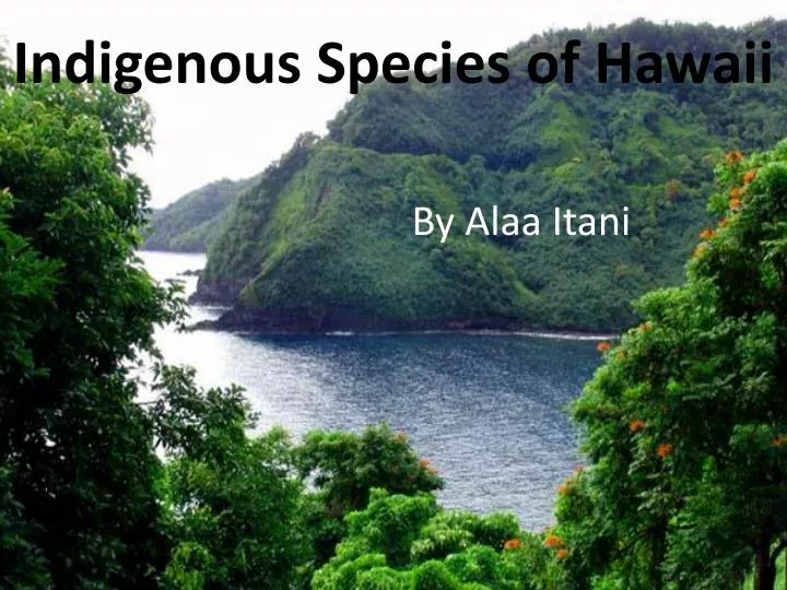 PPT - By Alaa Itani PowerPoint Presentation, free download - ID:376614