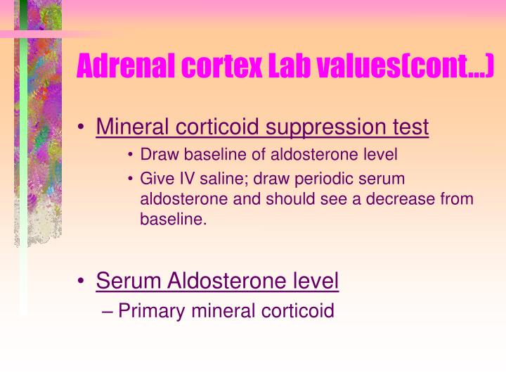 PPT - Endocrine System PowerPoint Presentation - ID:377434
