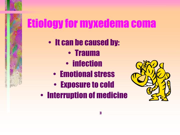 PPT - Endocrine System PowerPoint Presentation - ID:377434
