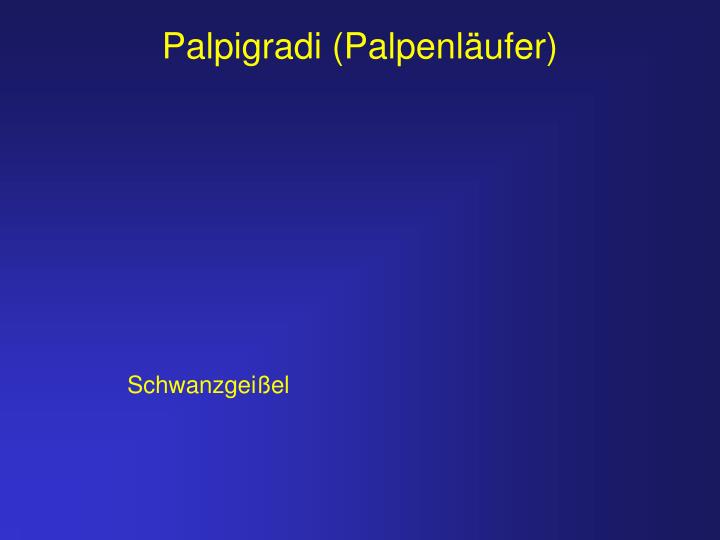 PPT - Allgemeine Zoologie PowerPoint Presentation - ID:378023