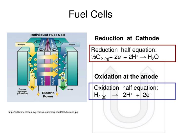 PPT - Oxidation and Reduction Reactions PowerPoint Presentation - ID:378706