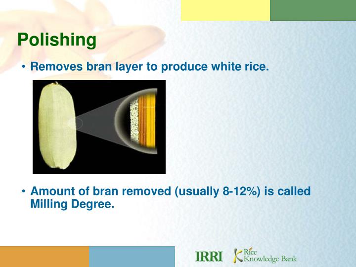 PPT - Modern Rice Milling PowerPoint Presentation - ID:378832