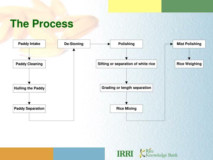 PPT - Modern Rice Milling PowerPoint Presentation - ID:378832