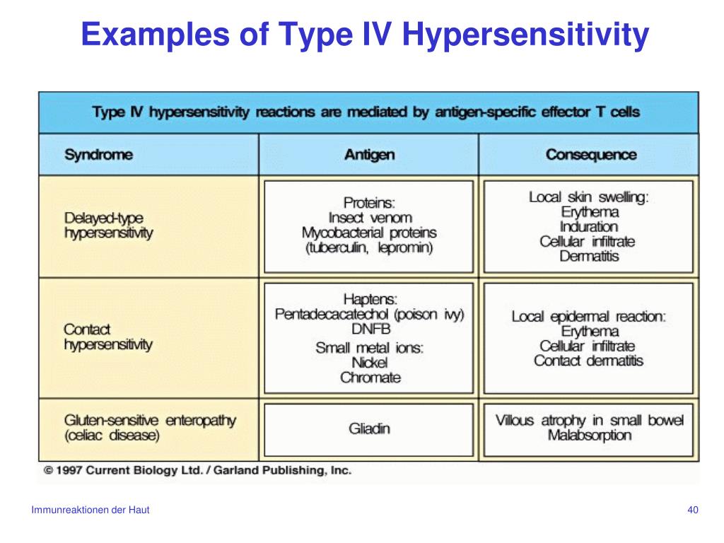 PPT - Fachpraktikum Immunreaktionen der Haut PowerPoint Presentation ...