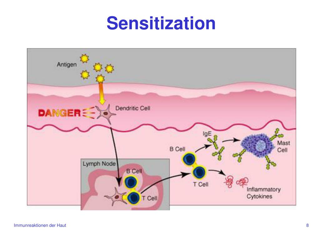 PPT - Fachpraktikum Immunreaktionen der Haut PowerPoint Presentation ...