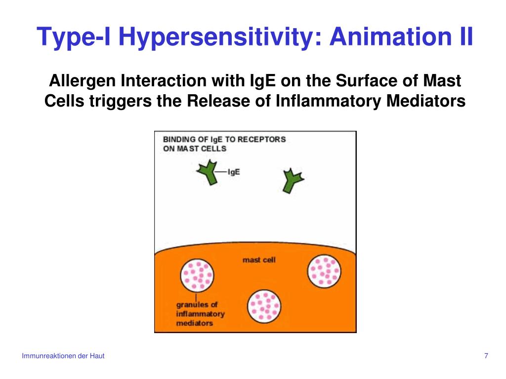 PPT - Fachpraktikum Immunreaktionen der Haut PowerPoint Presentation ...