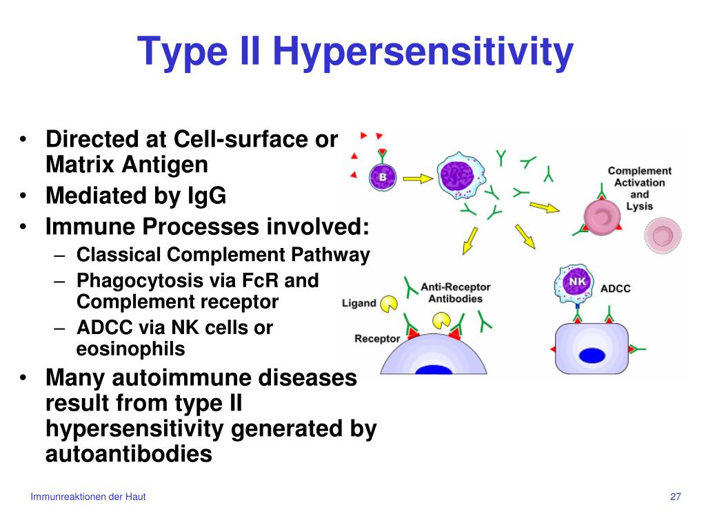 PPT - Fachpraktikum Immunreaktionen der Haut PowerPoint Presentation ...