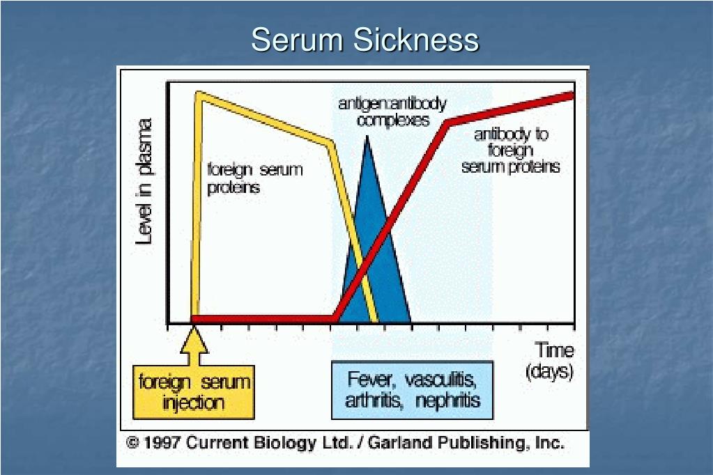 PPT - Lecture 8 Hypersensitivity Types II-V PowerPoint Presentation ... PPT - Lecture 8 Hypersensitivity Types II-V PowerPoint Presentation ...