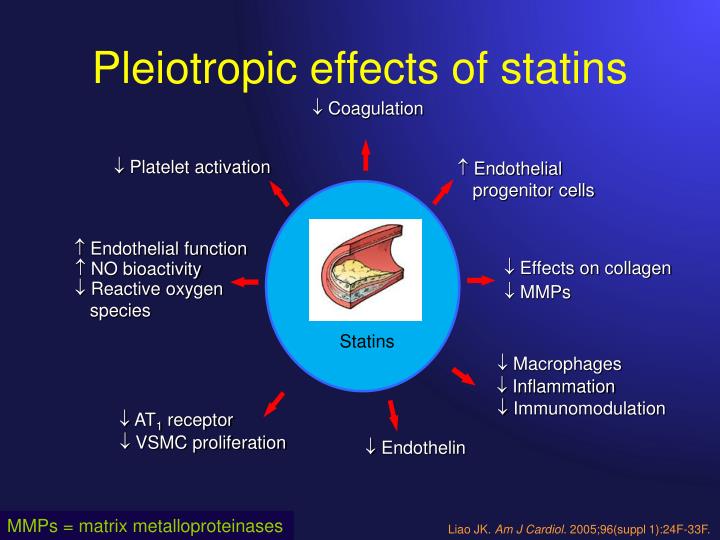 PPT - Statin in Acute Coronary Syndrome PowerPoint Presentation - ID:379455