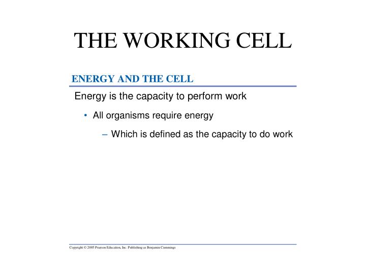 PPT - THE WORKING CELL PowerPoint Presentation, free download - ID:379491