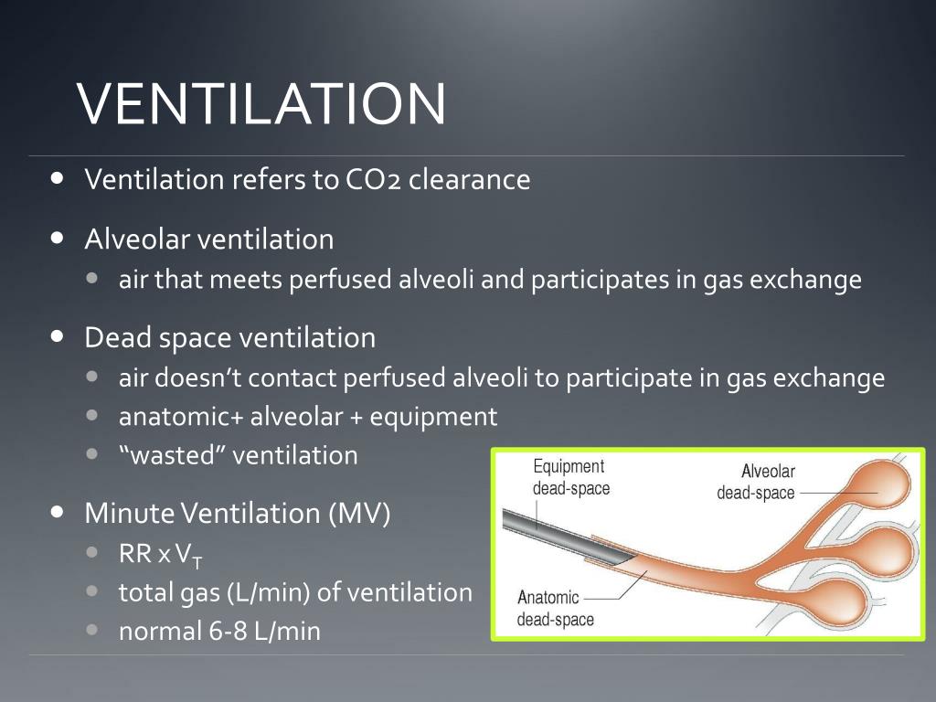 PPT - VENTILATION FOR THE SURGICAL RESIDENT PowerPoint Presentation ...