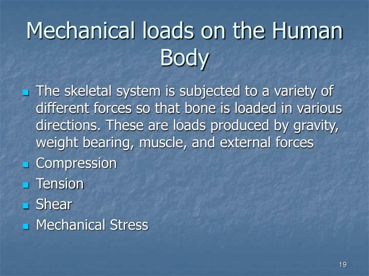 PPT - SECTION 2.1 FUNDAMENTAL MECHANICAL CONCEPTS PowerPoint ...