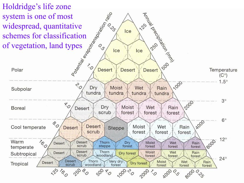 PPT - Global Climate Patterns and Life Zone Diversity PowerPoint ...