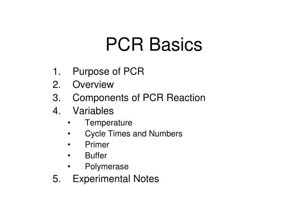PPT - PCR Basics PowerPoint Presentation, free download - ID:382430 PPT - PCR Basics PowerPoint Presentation, free download - ID:382430