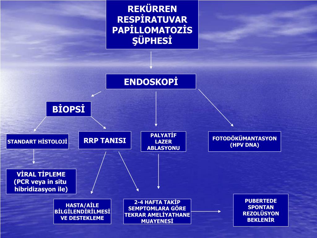 PPT - REKÜRREN LARENGEAL PAPİLLOMATOZİS PowerPoint Presentation, free ...
