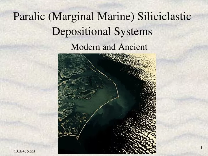 PPT - Paralic (Marginal Marine) Siliciclastic Depositional Systems ...