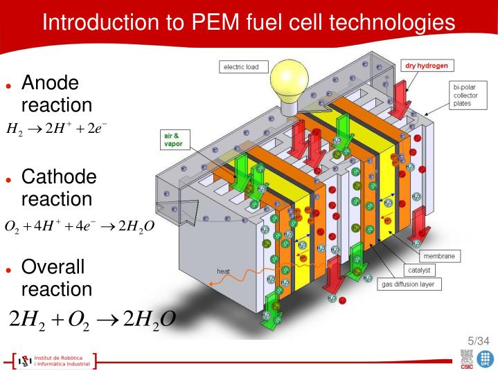PPT - Thesis Proposal and DEA Presentation PowerPoint Presentation - ID ...