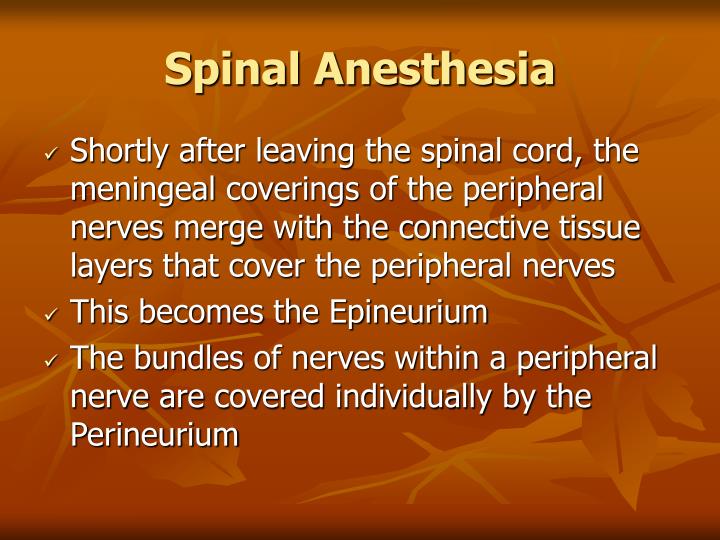 PPT - Spinal Anesthesia PowerPoint Presentation - ID:386249